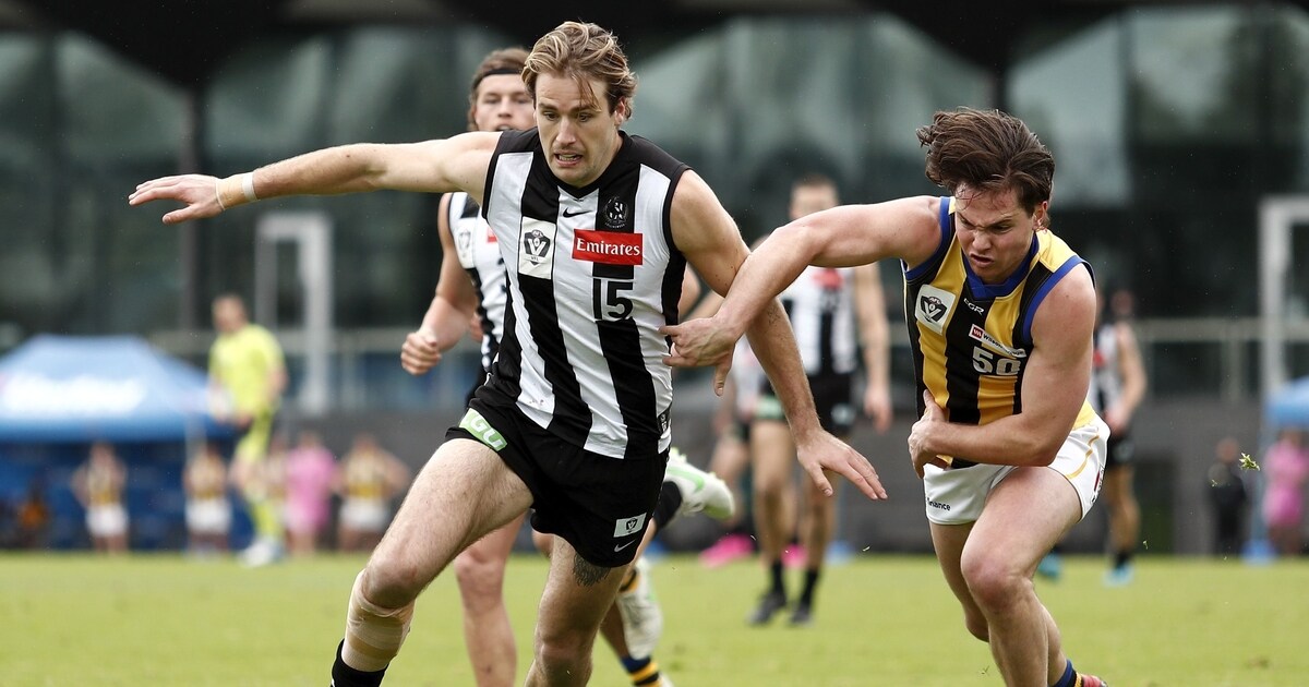 VFL Finals on Frankston Dolphins' radar, Pies and Dogs win again