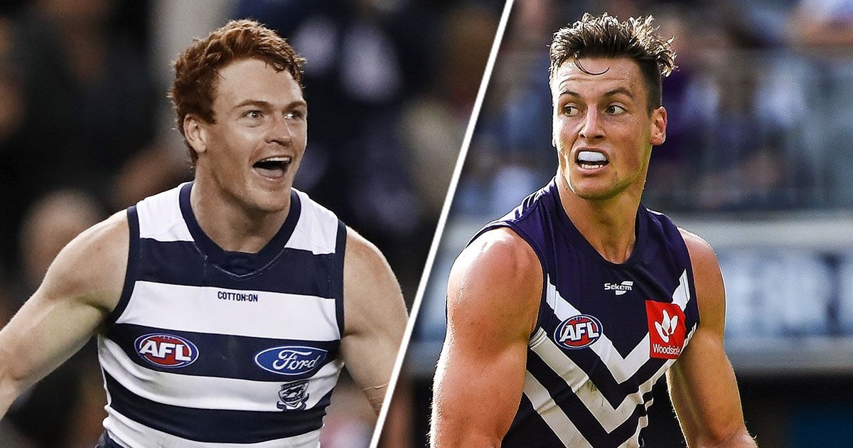 TEAMS: Cats' monster loses another head, tough Docker back
