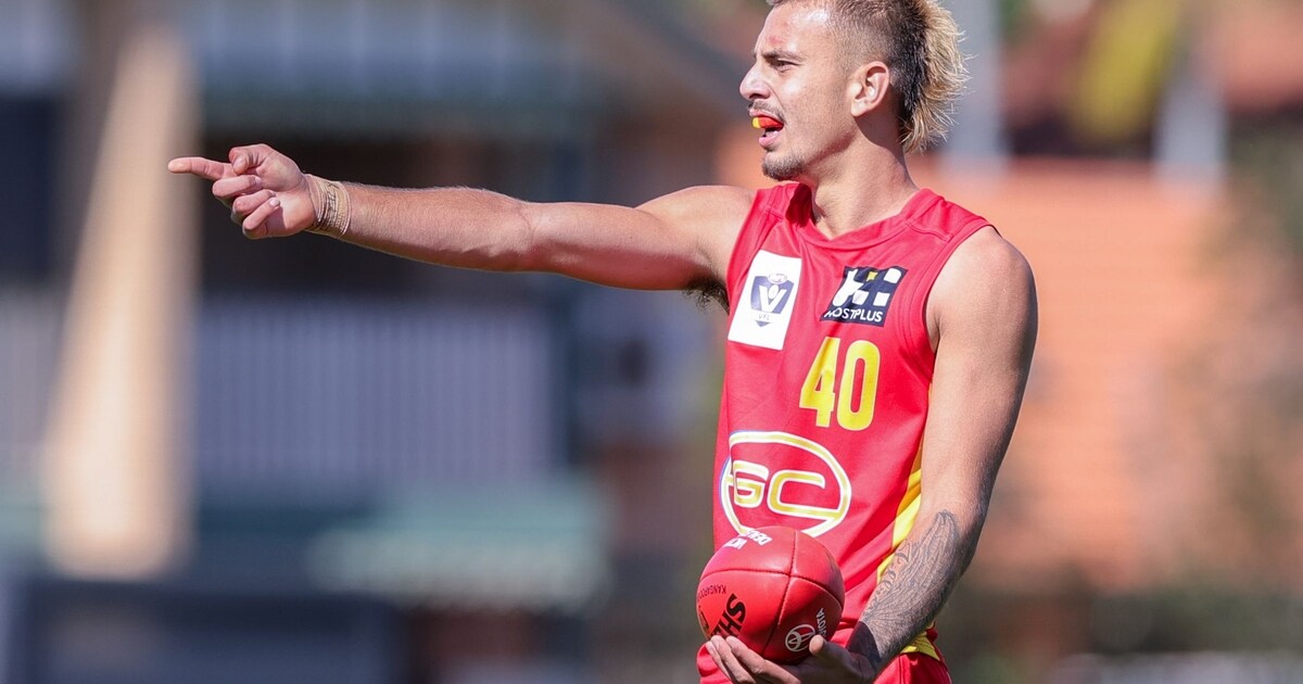 VFL Players of round 15: Sun shines brightly, Dons' Foreign Legion a ...