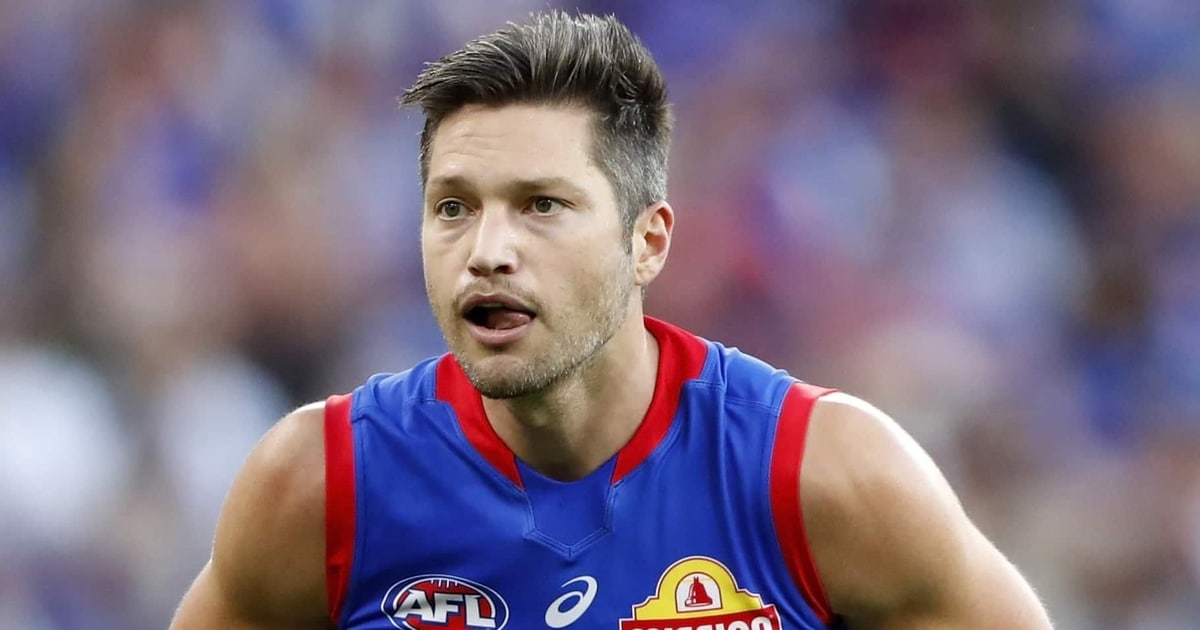 Locked in: Dogs hand veteran Stef Martin new one-year deal