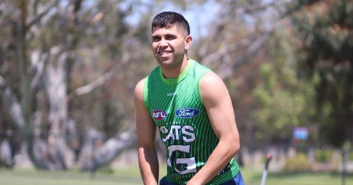 Cats recruit Tyson Stengle pushing for R1 spot after 18 months in the ...