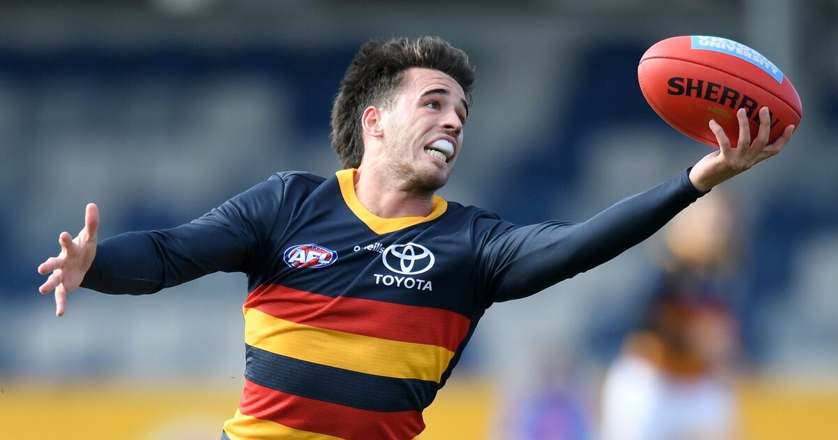 Adelaide Crows forward Lachlan Murphy to undergo neck surgery
