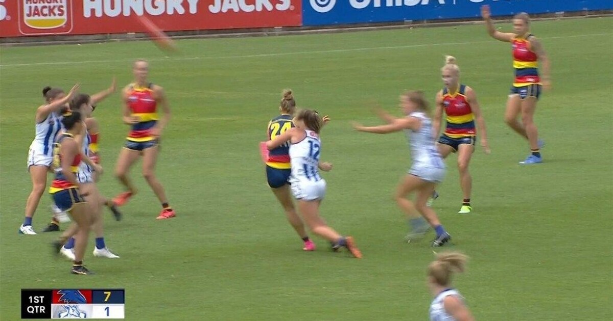 Wooodland wonder to open exciting affair