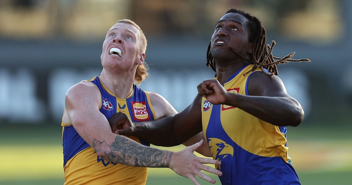 Medical room: The full AFL injury list, R23