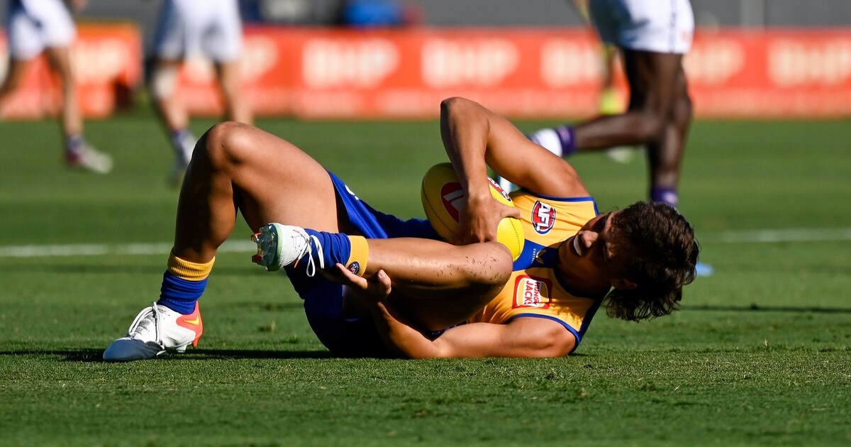 Gun draftee Campbell Chesser and star West Coast mid Dom Sheed set to ...