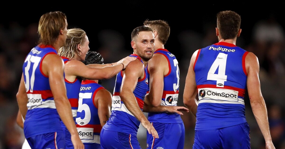 Western Bulldogs delist Hayden Crozier and Roarke Smith ahead of 2024 ...