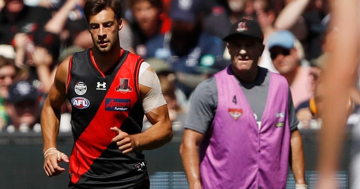 Bomber Kyle Langford faces 10 weeks out, Jake Stringer could return