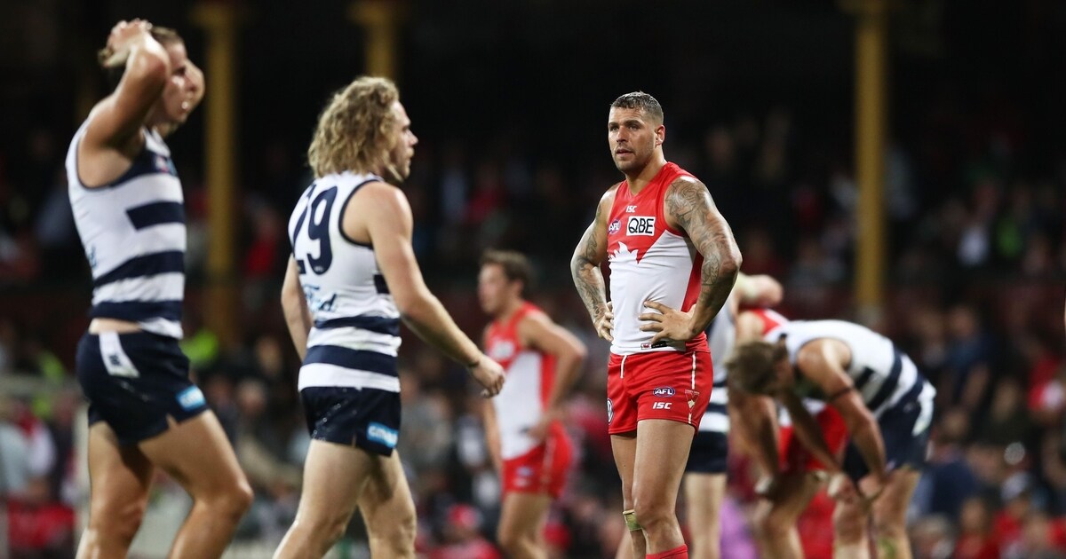 'It's a good news story': Cats prepared for Buddy ground invasion