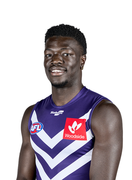 Goal of the Year - AFL.com.au