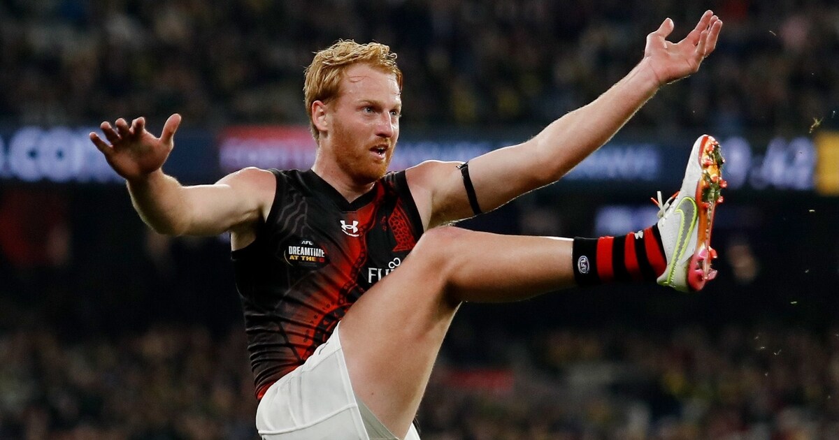 On the move: Out-of-favour Bomber Aaron Francis finds new home in Sydney