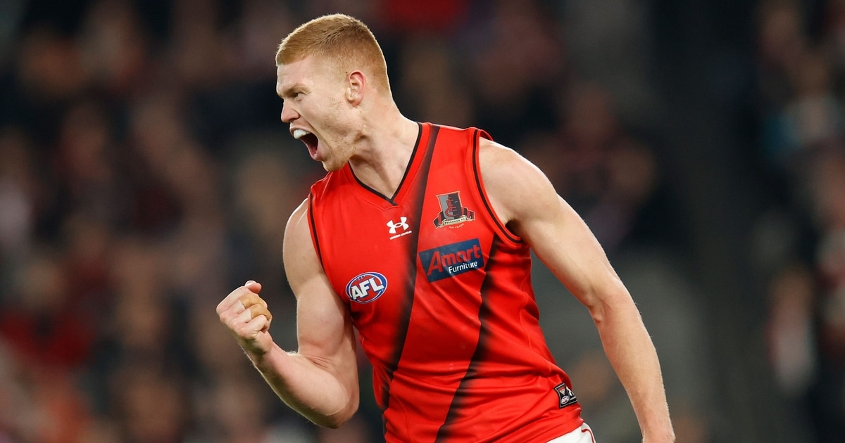 Just Wright: Two-metre Peter wins Dons' best and fairest