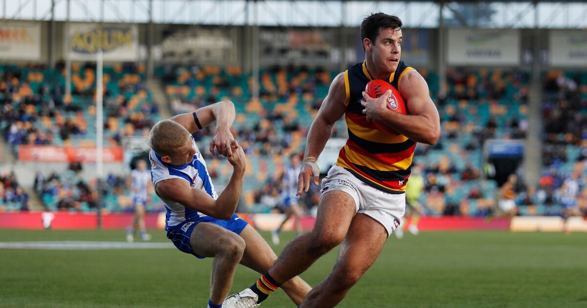 Fog rising: Forward Darcy Fogarty recommits to Adelaide Crows until 2025
