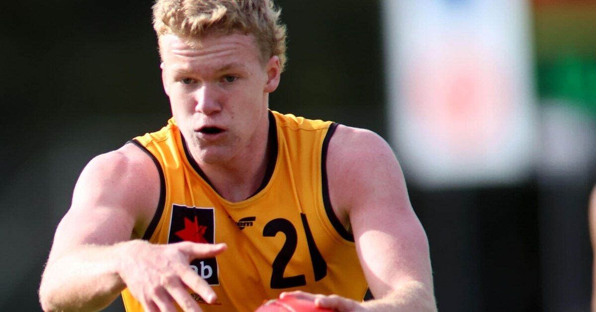 WA teen's Reuben Ginbey dominant athleticism lights up NAB AFL draft ...