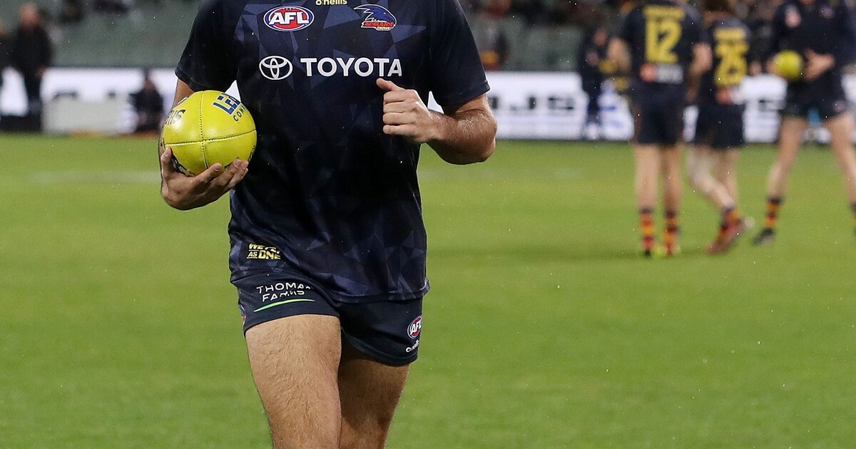 Official AFL Photo Galleries - AFL.com.au