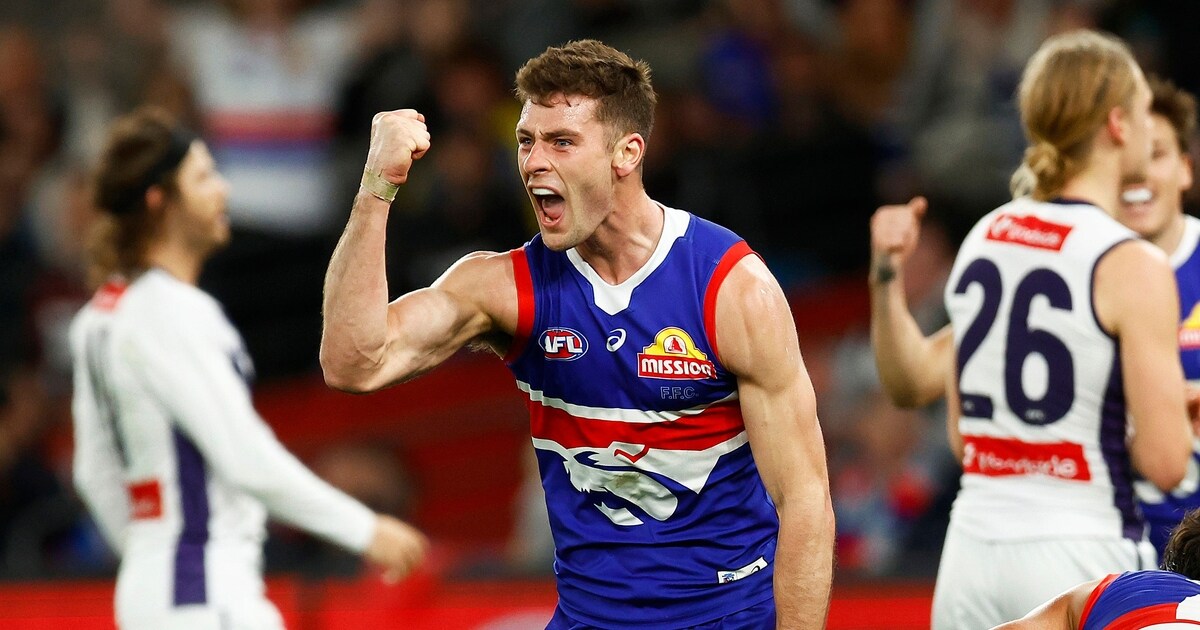 3-2-1: Dog Josh Dunkley wants out, Cat Max Homes' fitness bid, North ...