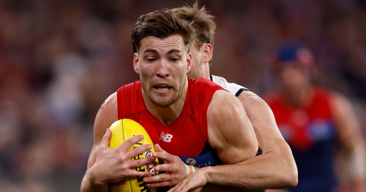 Melbourne Demons trio Jack Viney, Bayley Fritsch and Christian Salem ...