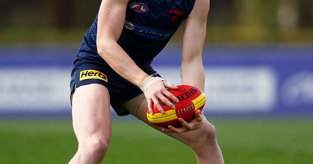 Official AFL Photo Galleries - AFL.com.au