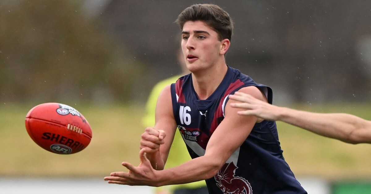 Harry Sheezel is the top-10 draft hopeful with MASSIVE numbers