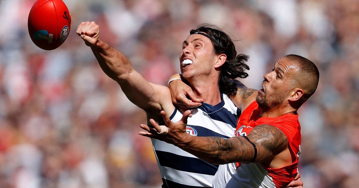 Jack stops the attack: Cat's simple approach to keeping Buddy quiet