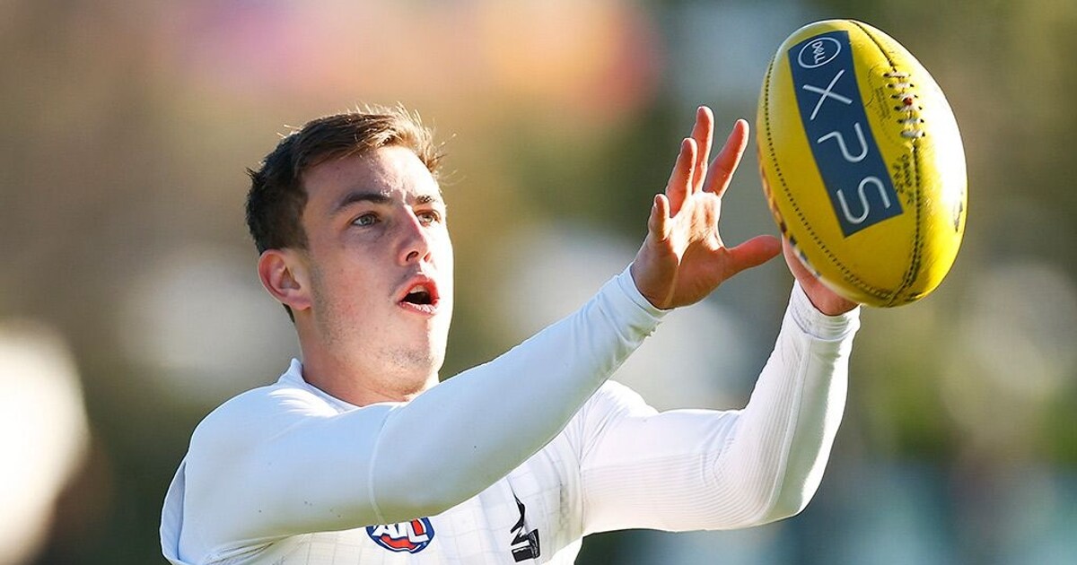 'Completely blind': Former Collingwood Magpies player Callum Brown ...