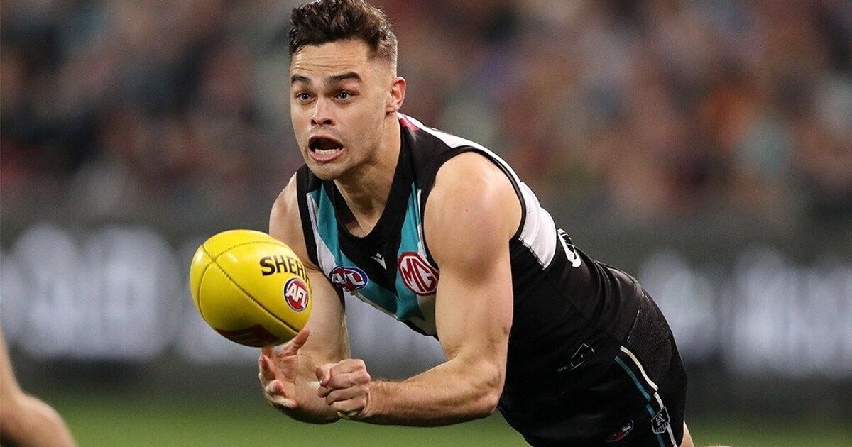 Get excited, Hawks: Watch the best highlights of Karl Amon