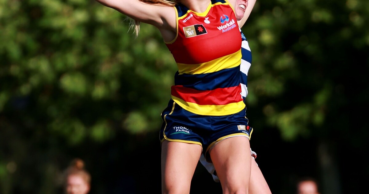 Official AFL Photo Galleries - AFL.com.au