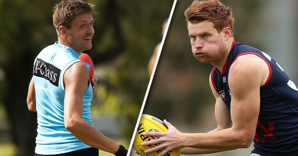 Hawthorn Hawks sign forward Fergus Greene after impressive VFL season ...