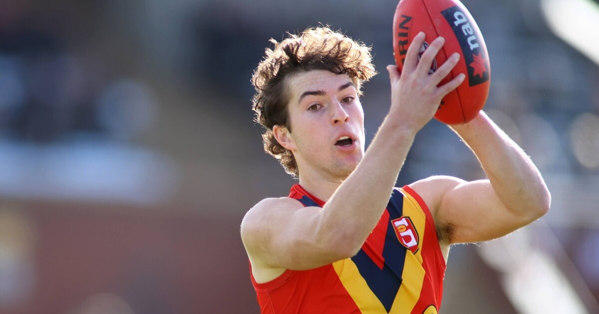 Draft prospect: Adam D'Aloia