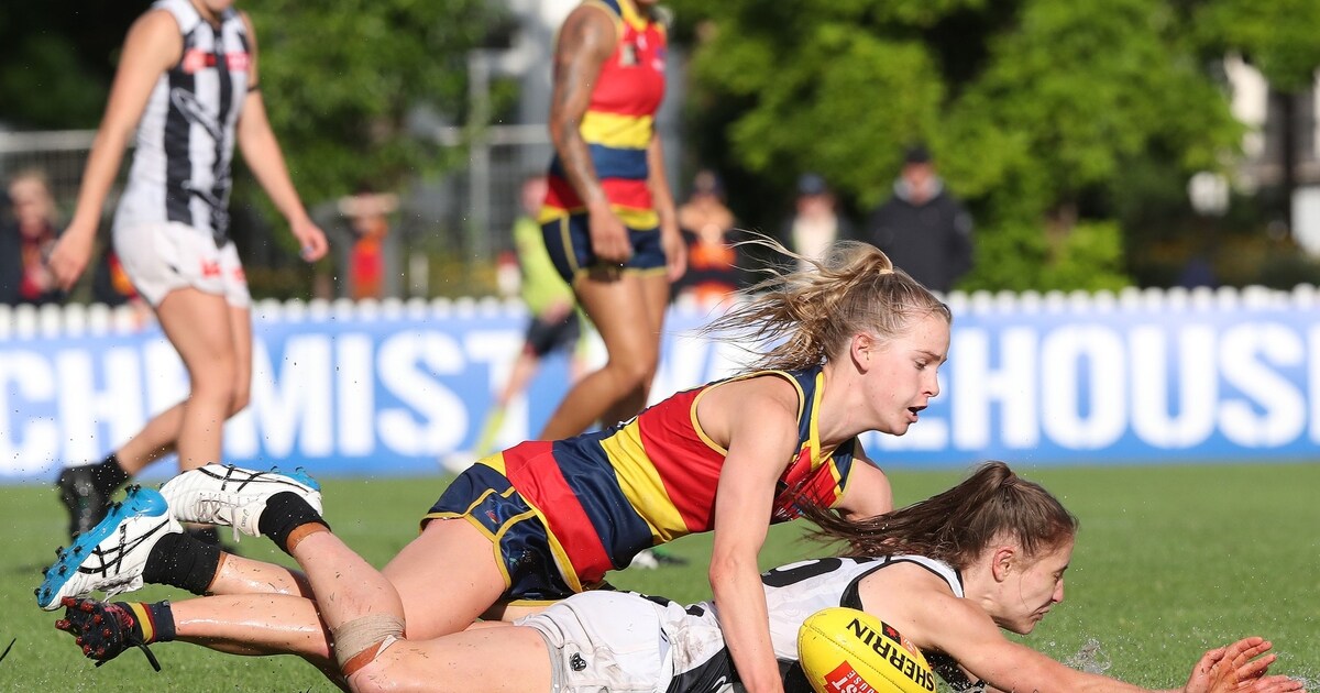 Official AFL Photo Galleries - AFL.com.au