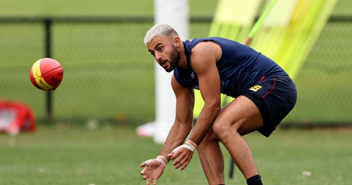 Melbourne Demons defender Christian Salem on modified program with ...