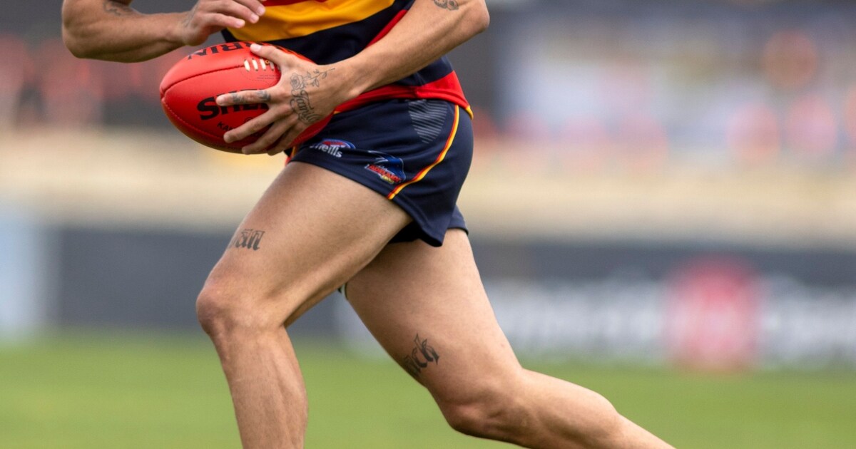 Official AFL Photo Galleries - AFL.com.au