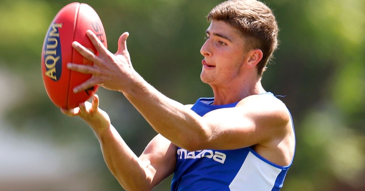 Wild about Harry: No.3 pick Harry Sheezel delivers in new-look North ...