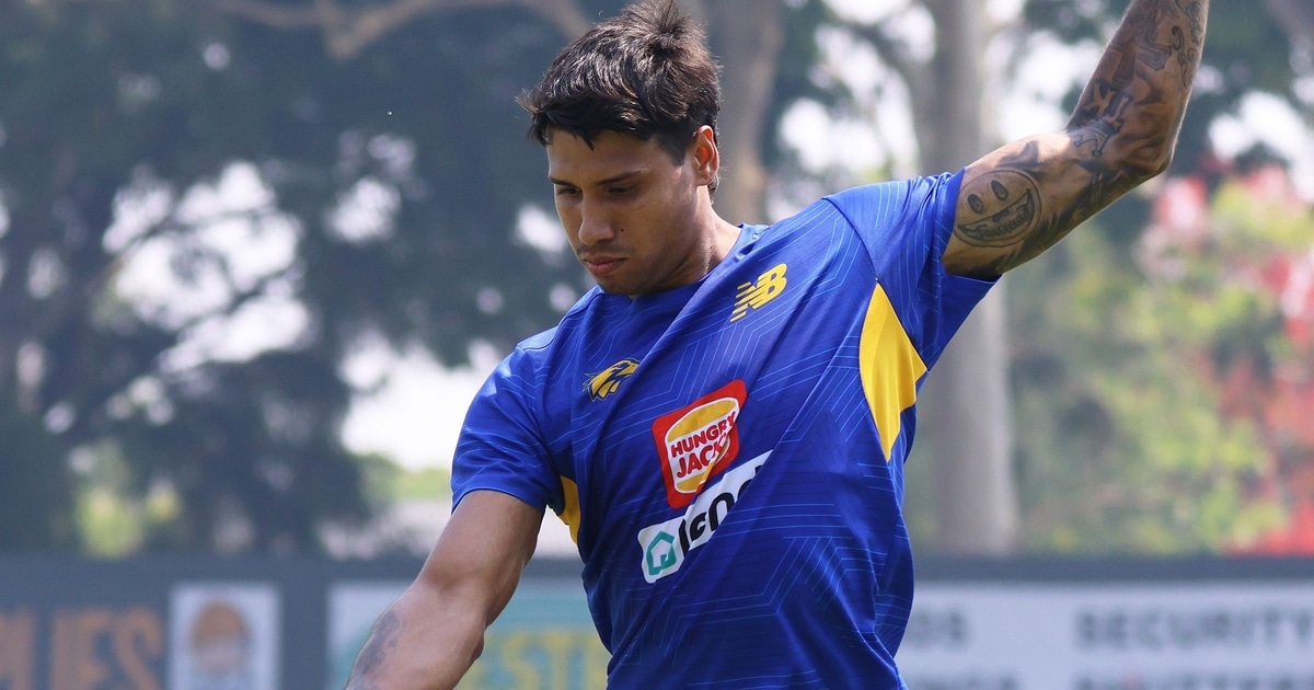 West Coast Tim Kelly a pre-season standout, youngsters Reuben Ginbey ... West Coast Tim Kelly a pre-season standout, youngsters Reuben Ginbey ...