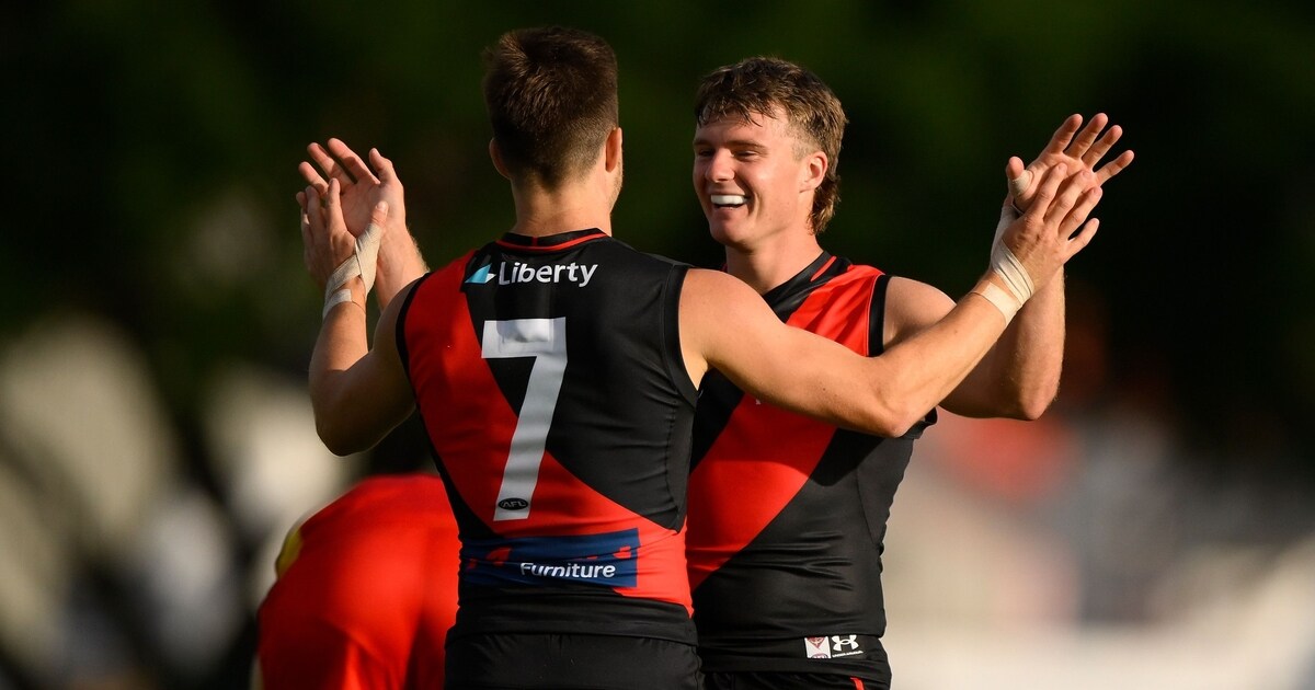 Essendon Bombers find answers to small forward woes, Gold Coast Suns ...