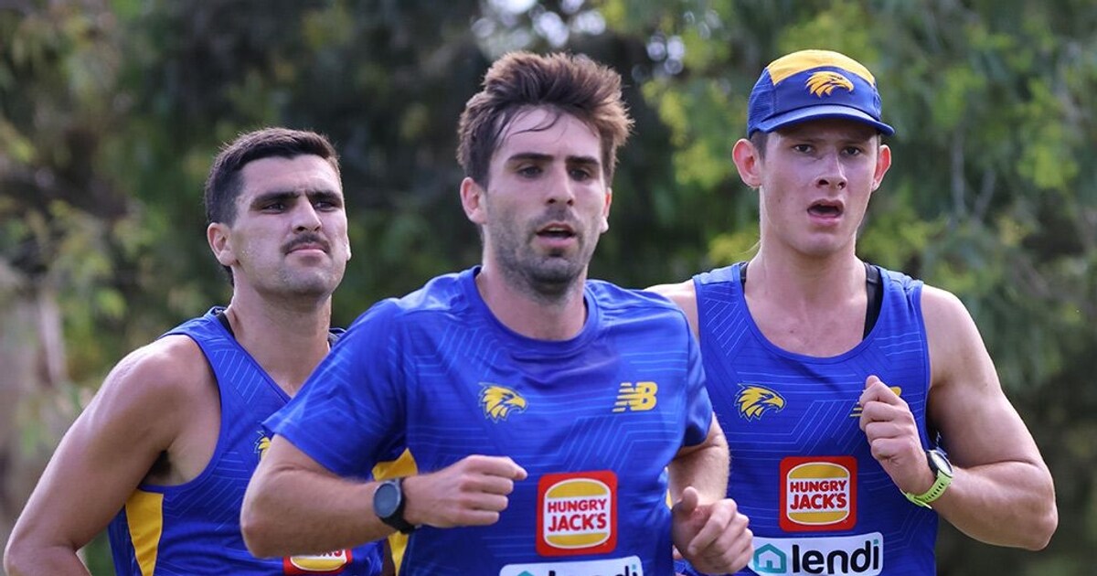 'Same as when he was 18': Gun West Coast Eagles midfielder Andrew Gaff ...