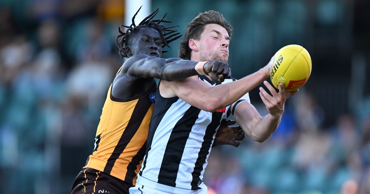 Collingwood Magpies' huge blow: Midfielder Pat Lipinski out for months ...