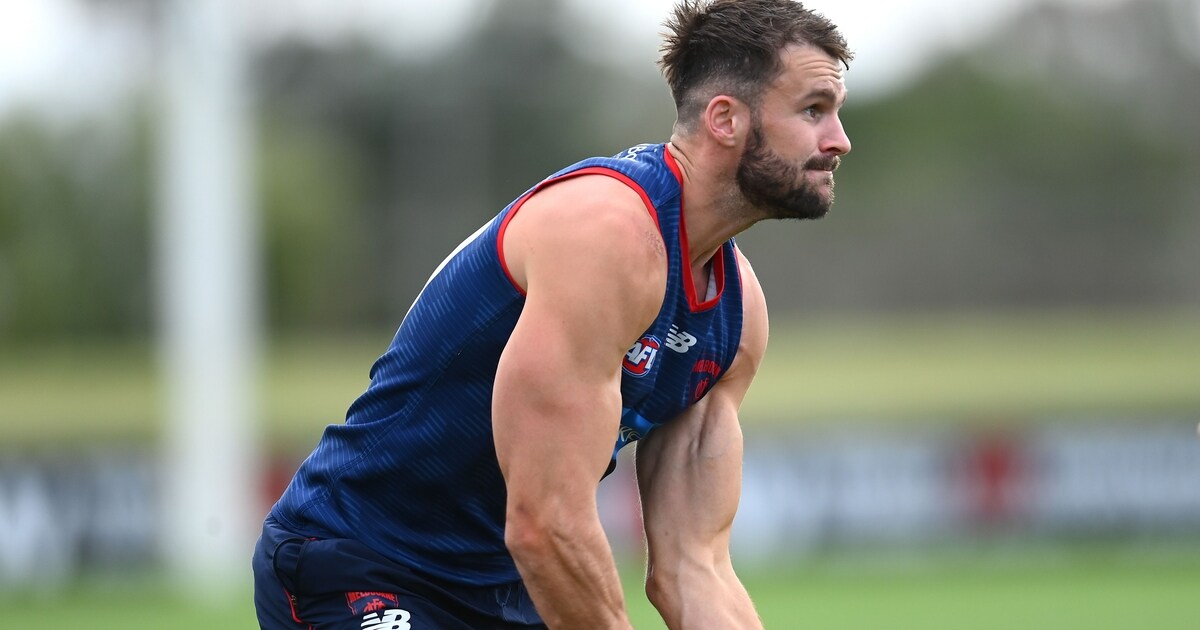 Coach Simon Goodwin reveals conversation with banished Melbourne Demon ...
