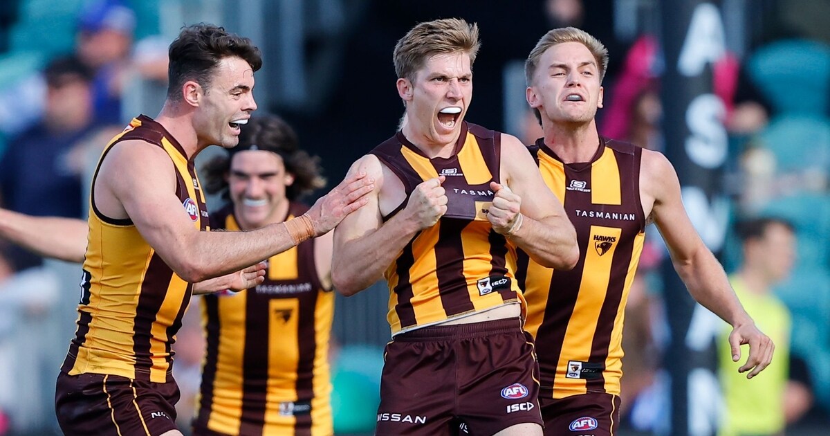 Hawthorn Hawks hold off North Melbourne Kangaroos to end Alastair ...