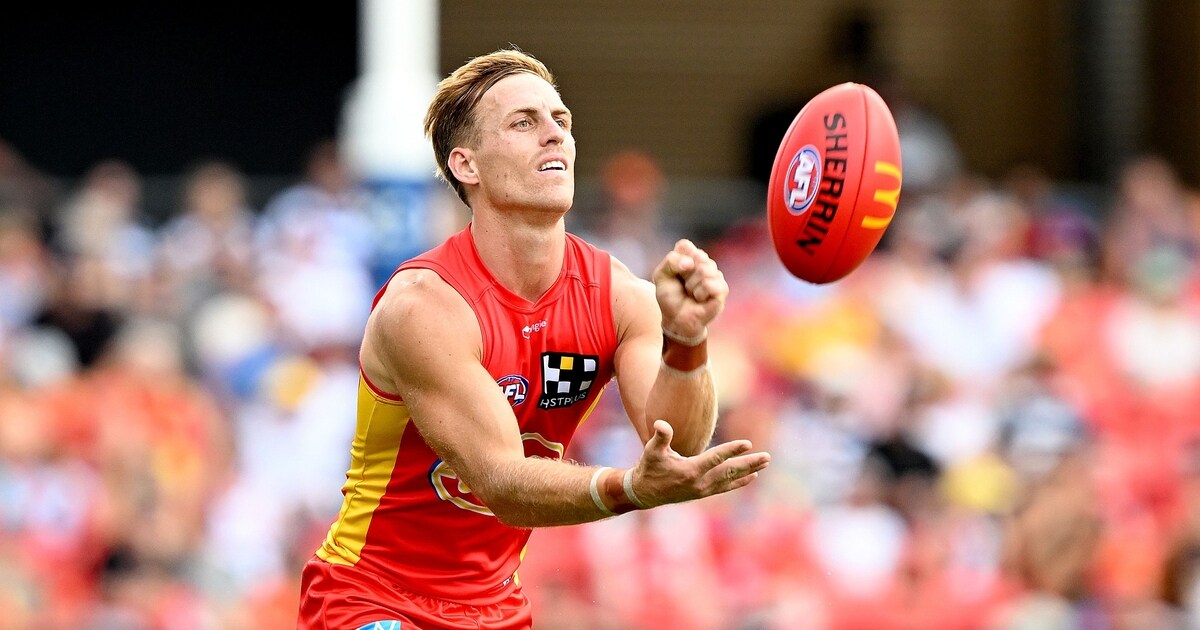 'I'll fight and scrap until the end': New role breathes life into Gold ...