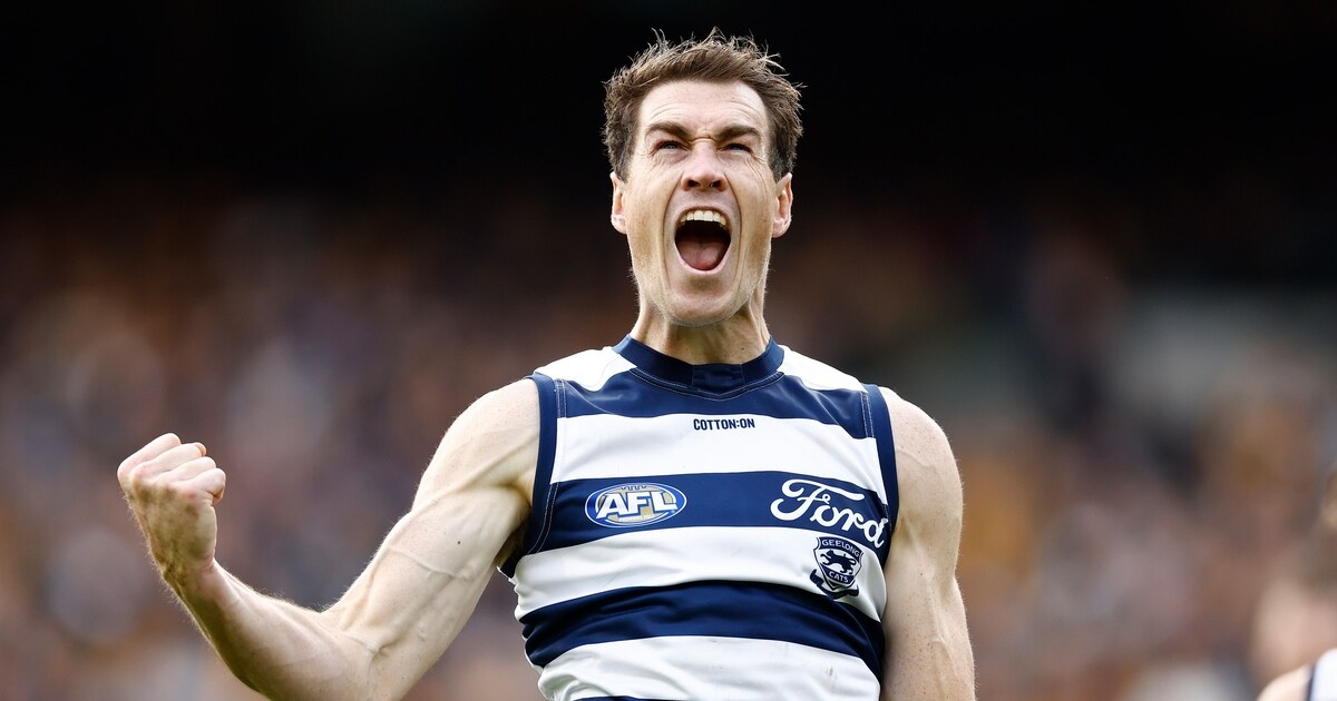 Cat attack: Jezza Cameron stars as Geelong blows Hawthorn Hawks away