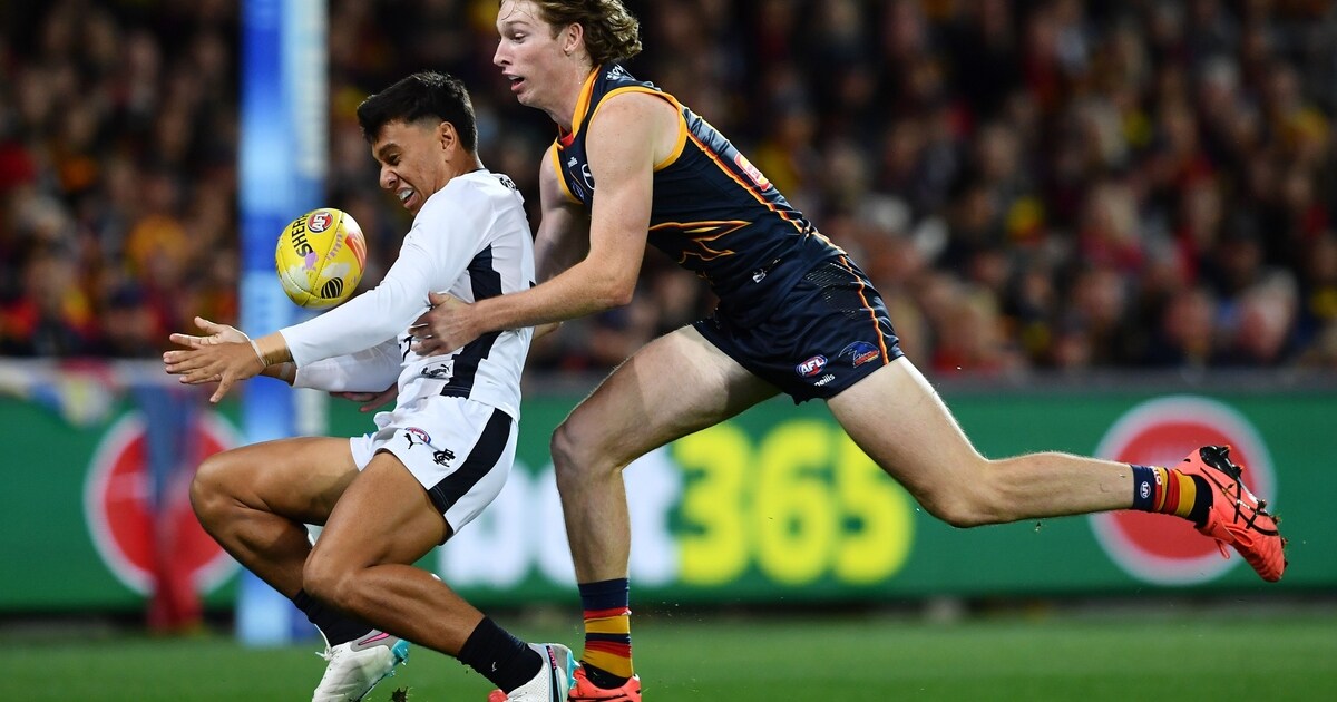 To the Max: Crows defender Michalanney earns AFL Rising Star nomination