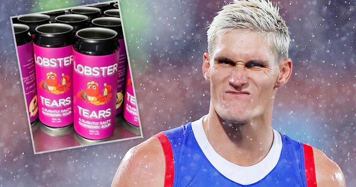Fans launch Rory Lobb-inspired beer as ex Fremantle Docker braces for ...