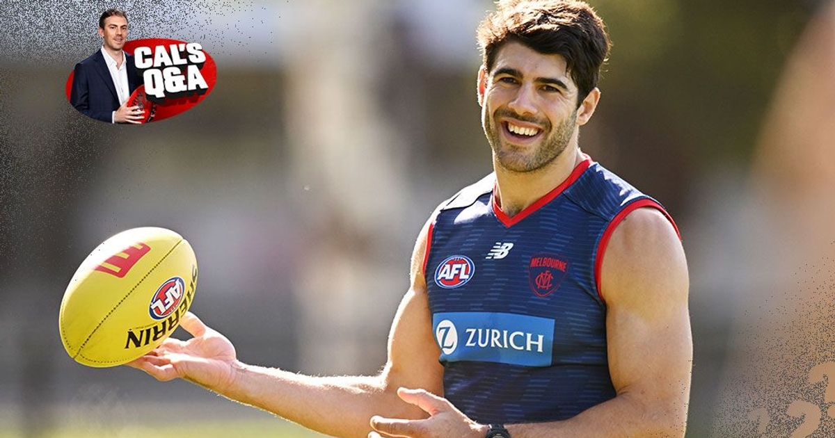 'I'm wired pretty differently': Petracca on success, regrets, and not ...