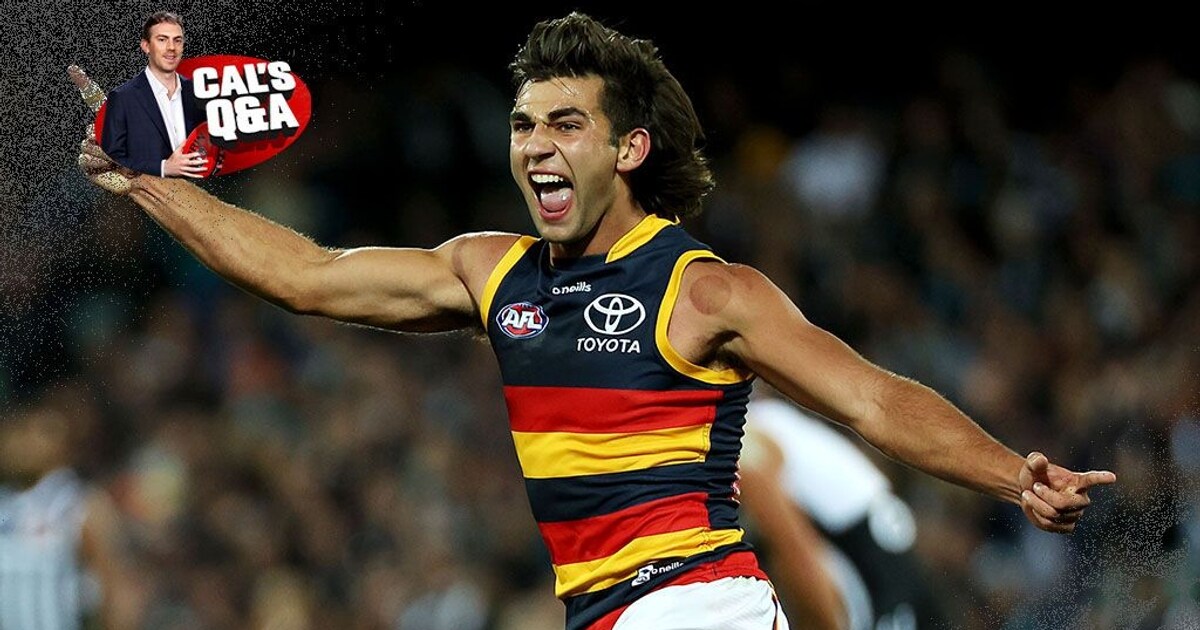 ‘I’m waiting until a crazy goal’: Josh Rachele on Adelaide Crows’ rise ...