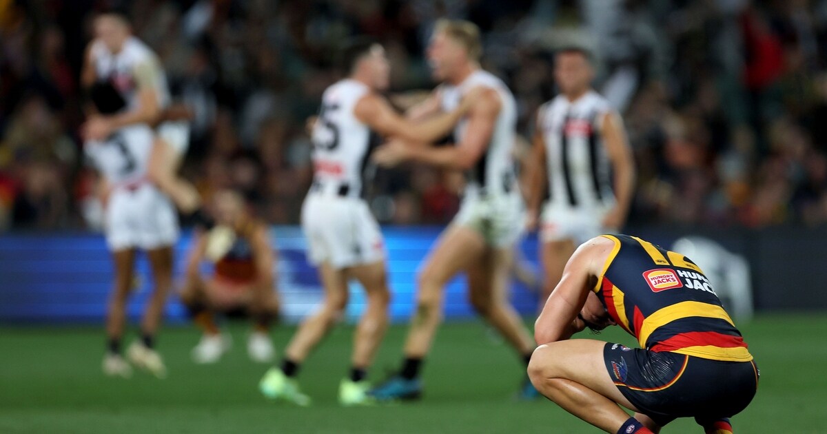 'We executed really well': Adelaide Crows positive after crushing loss ...
