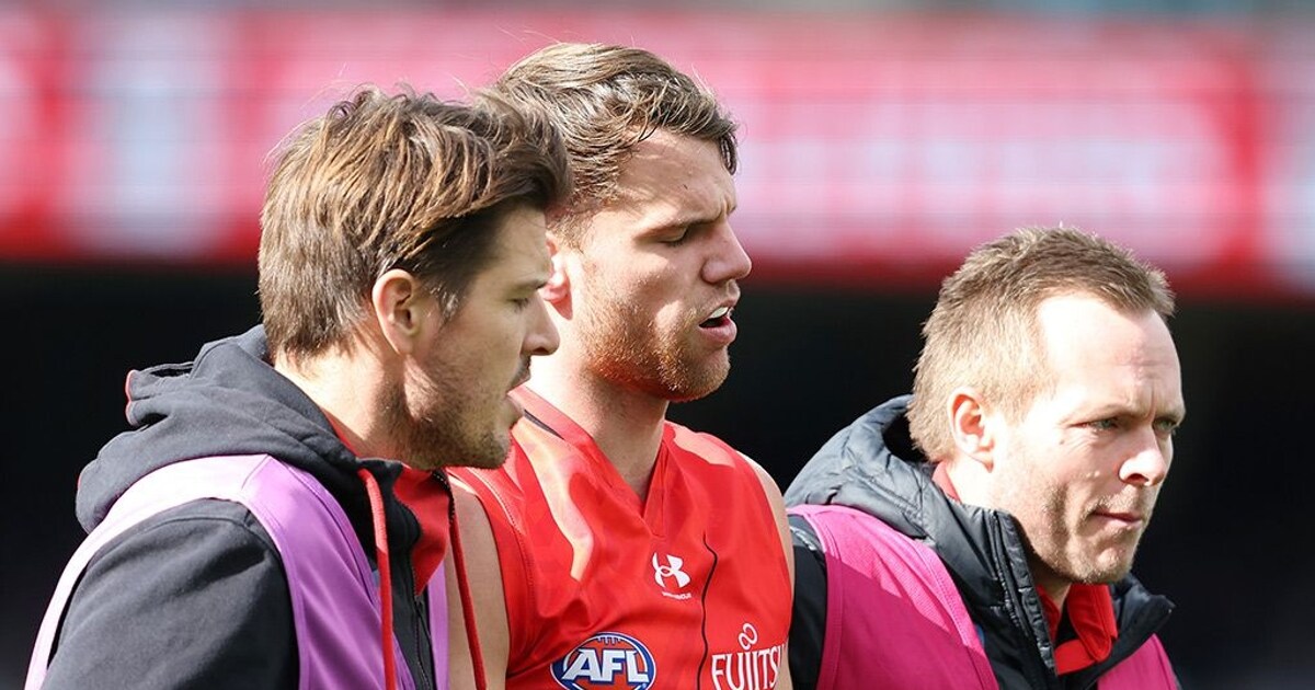 'He's recovered really well': Dons defender Jordan Ridley back on track ...