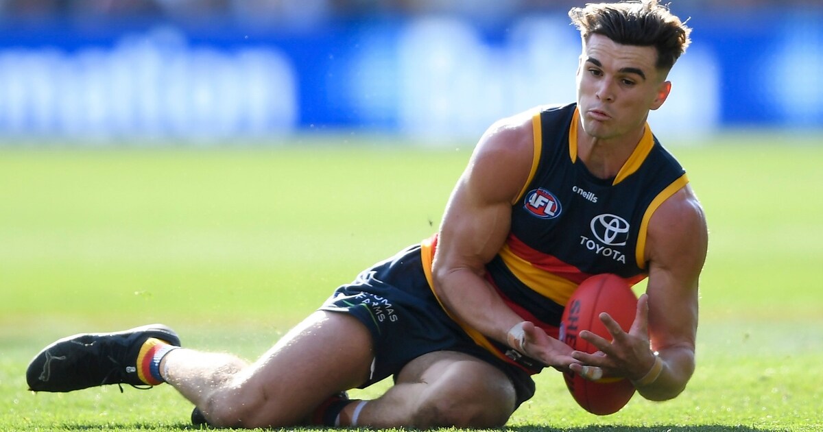 'I'm ready to attack it': Rare finals appearance spurs Crows hard nut ...