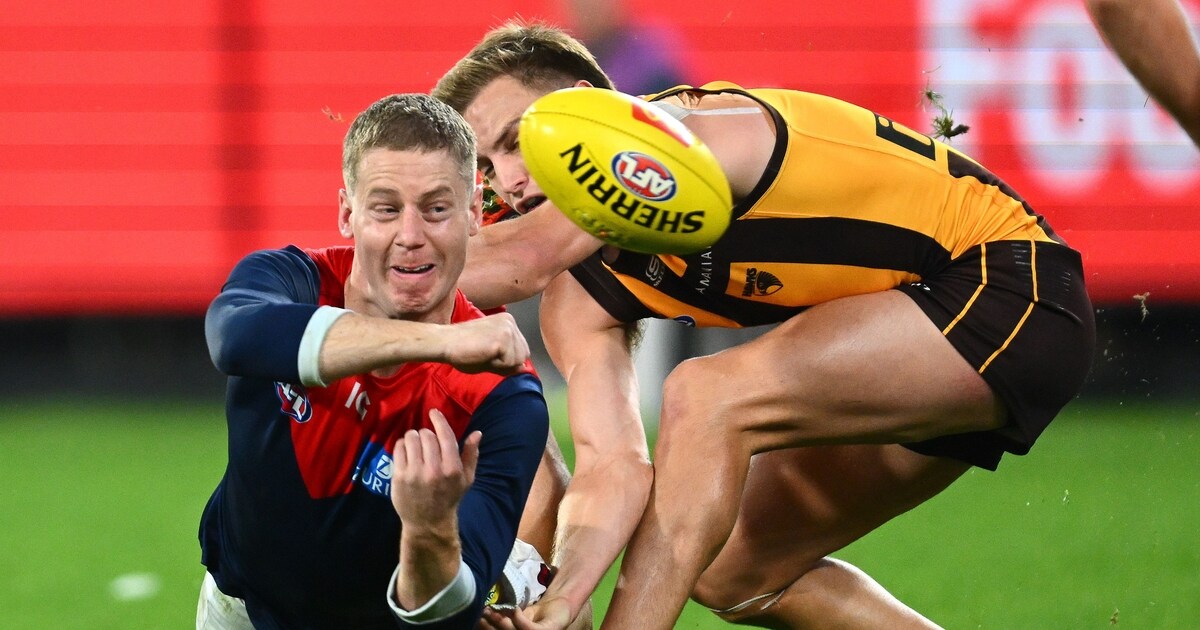 Melbourne's Lachie Hunter fined for boundary line incident against Hawthorn