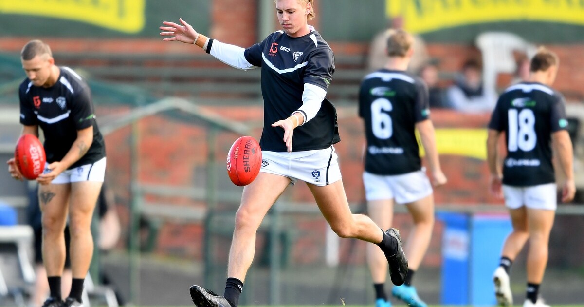 Official AFL Photo Galleries - AFL.com.au