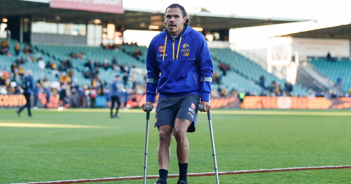 Medical room: The full AFL injury list, R11